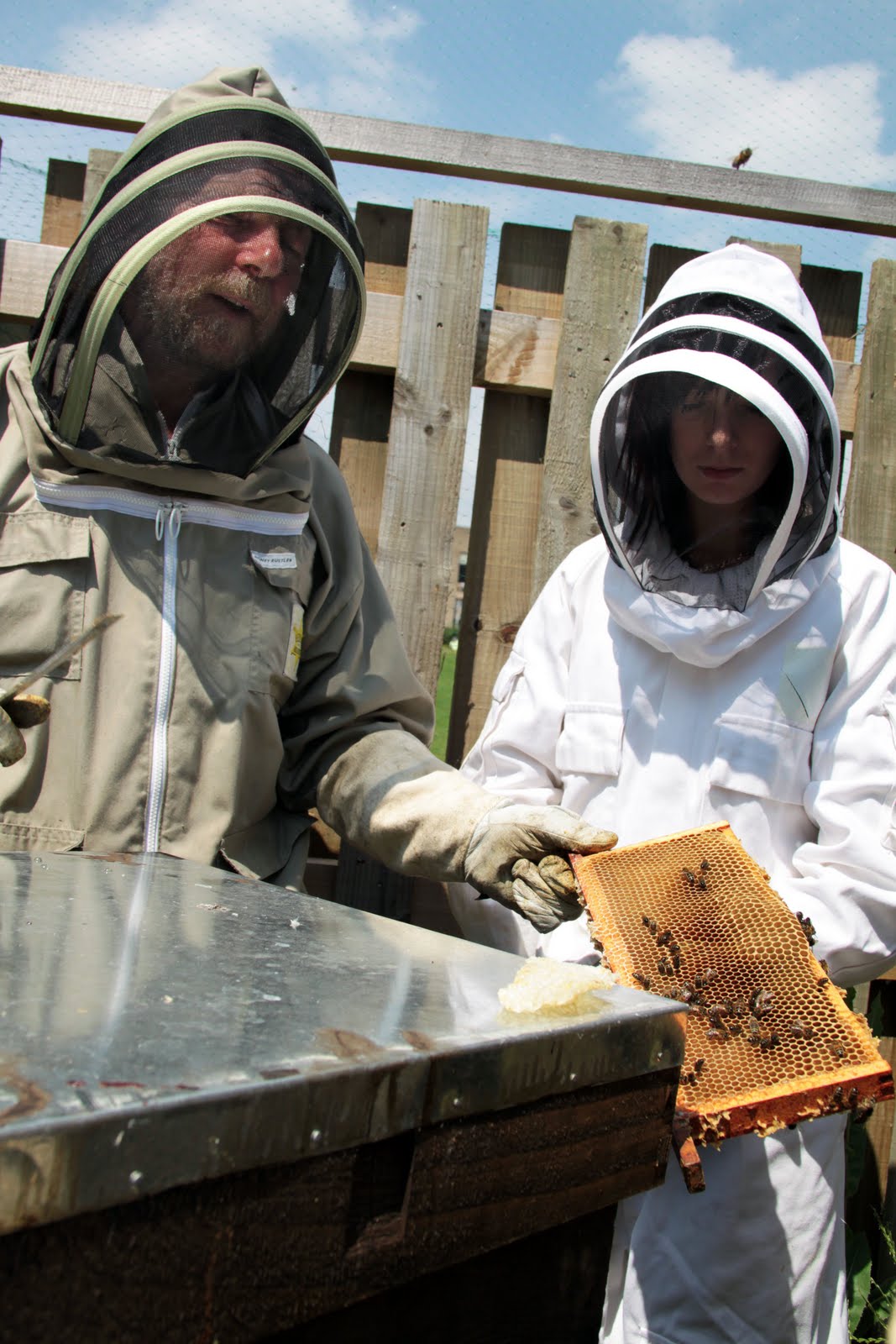 What Is Good?: Mr Bee man Brian Latham Visit - Horsforth