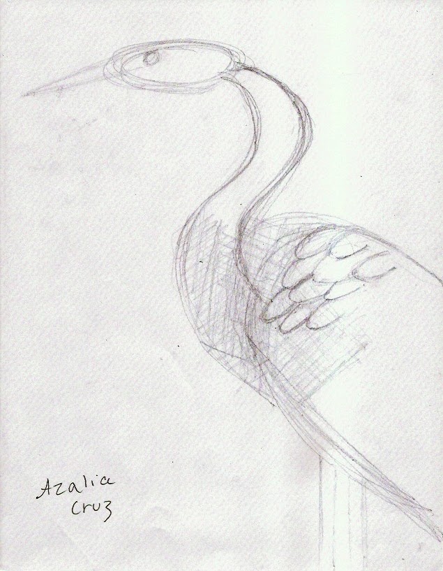 Louden Nelson Sketchers: Weeks 7-10: Form, Contours, Tonal Values ...