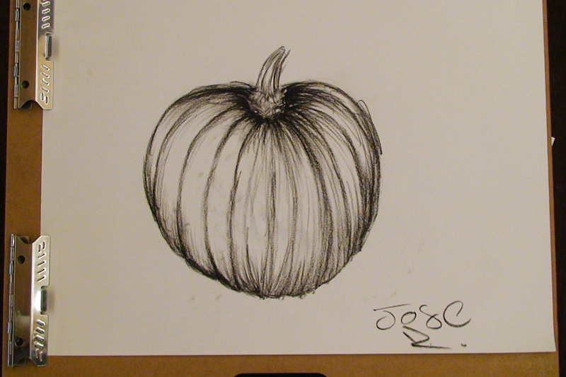 Star Sketchers: Weeks 7-10: Form, Contours, Tonal Values, Positive ...