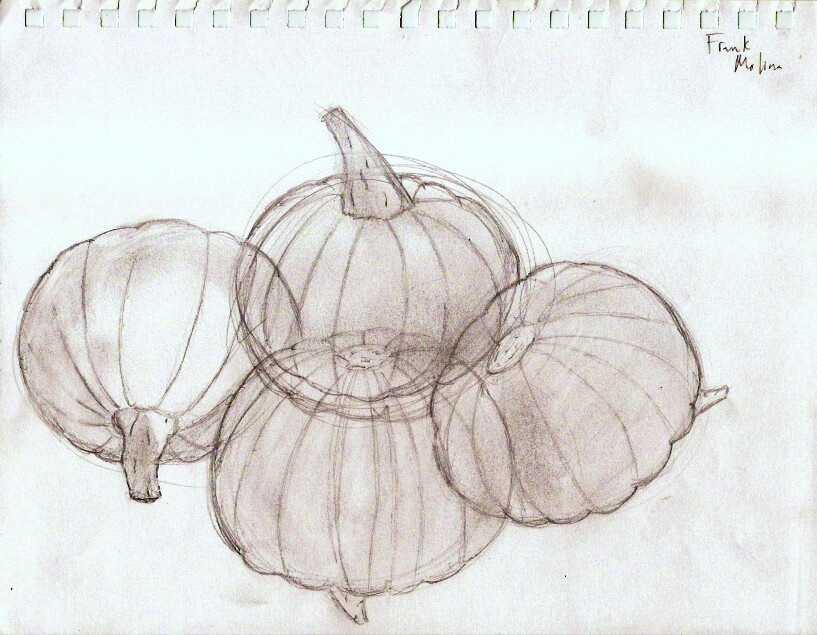 Natural Bridges Sketchers: Weeks 7-10: Form, Contours, Tonal Values ...