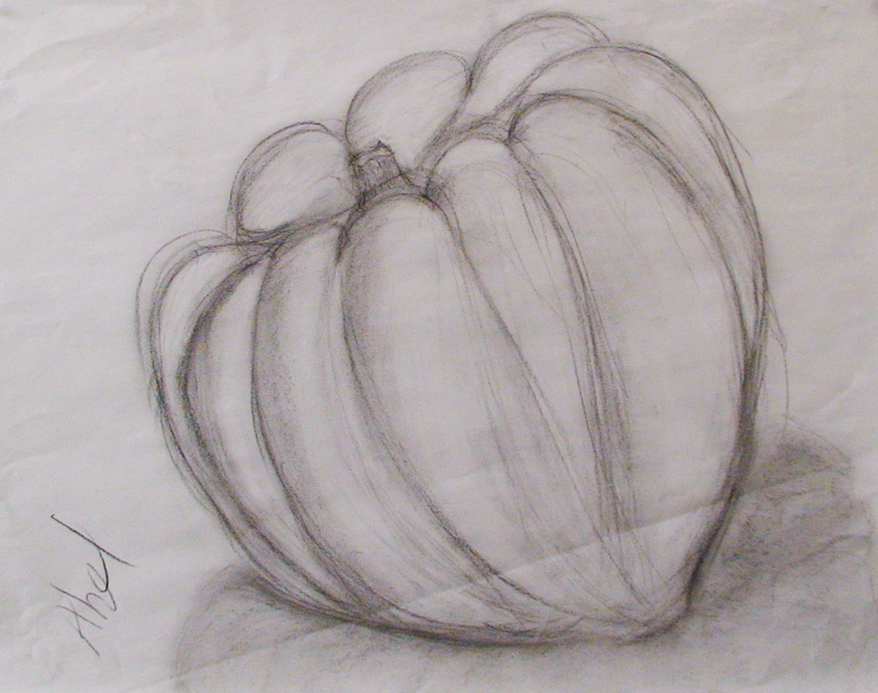 Natural Bridges Sketchers: Weeks 7-10: Form, Contours, Tonal Values ...