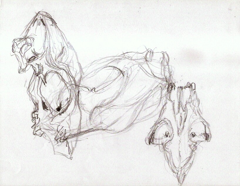 Santa Cruz Mountains Art Center Sketchers: Level 3: Drawing From Life ...