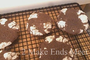 2 Make Ends Meet: Snow-Top Chocolate Cookies