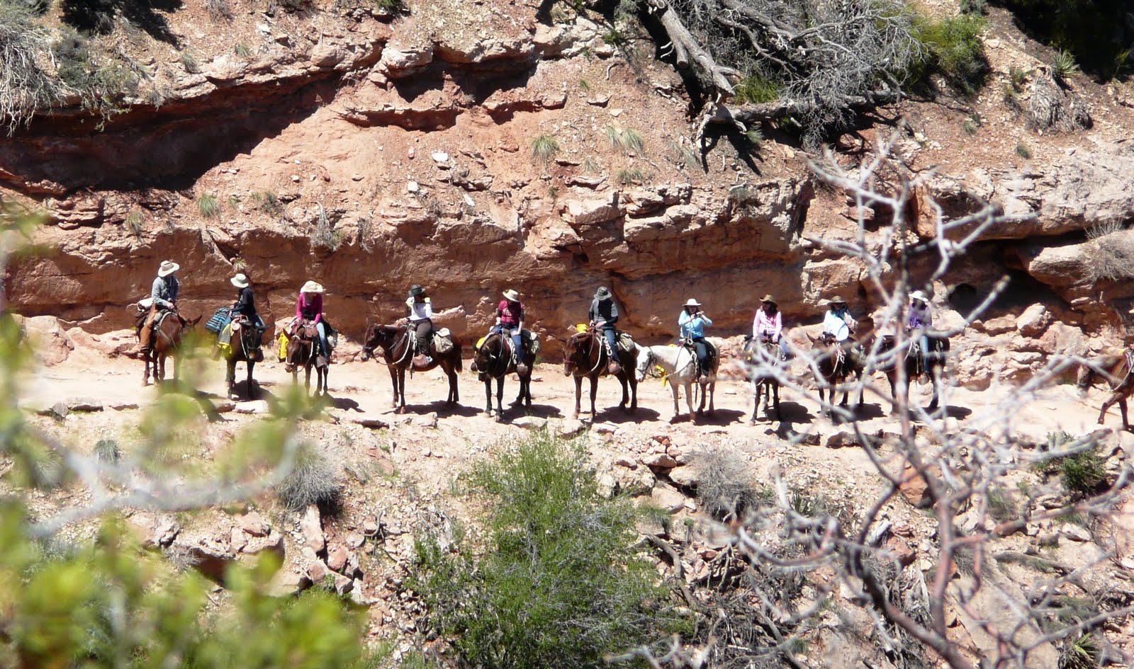 On The High Road: Hermit's Rest & Dinner at El Tovar