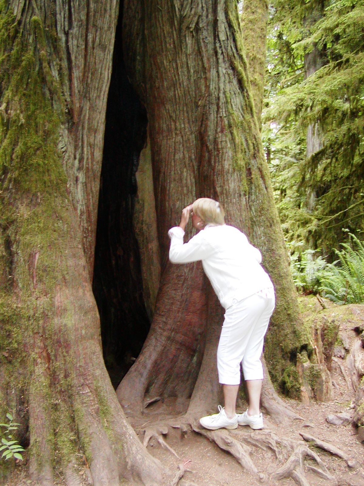 On The High Road: Vancouver Island ~ Central Coast ~ Part 2