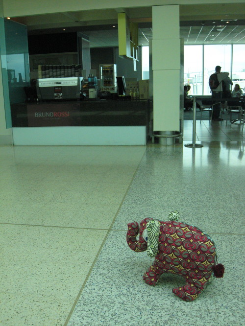 All Toile And No Reward: Introducing .... Gerald, The Elephant In The Room