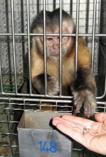 IN THE NEWS: Prison therapy: It's all in the name