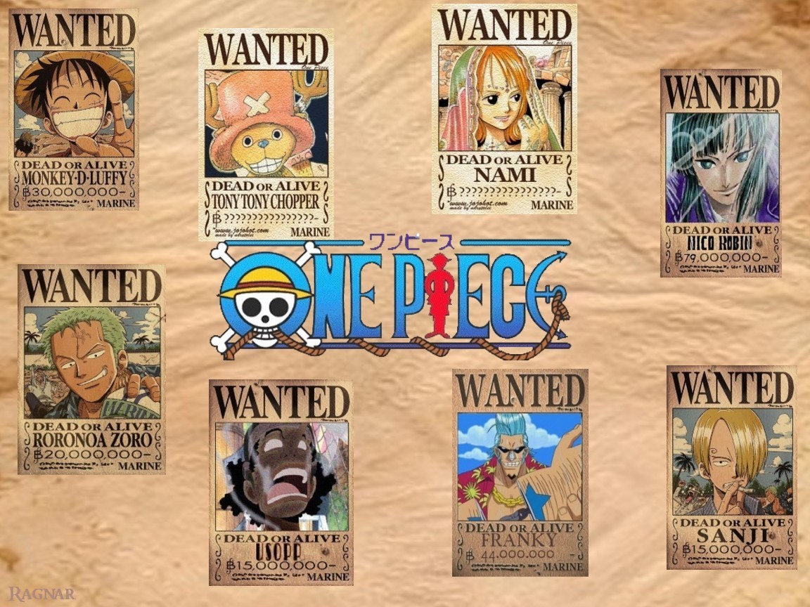 Cartoon Networks: One Piece