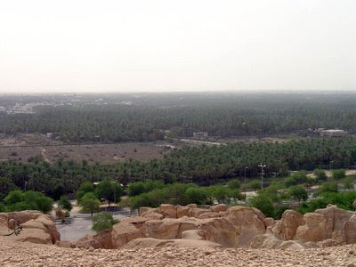 Natural wonder site of the world: The Al-Hasa oasis is the largest ...