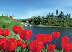 Lo mejor de Canadaa!: Flora y Fauna de Canada!