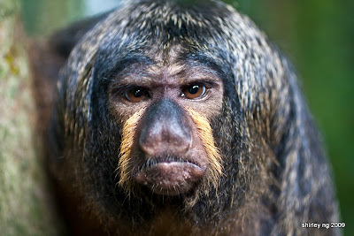 Engine Swap - MX-5 Miata Forum