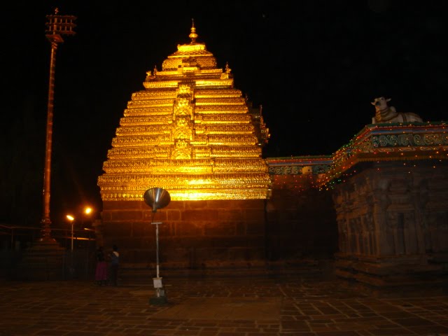 exploring india: Srisailam