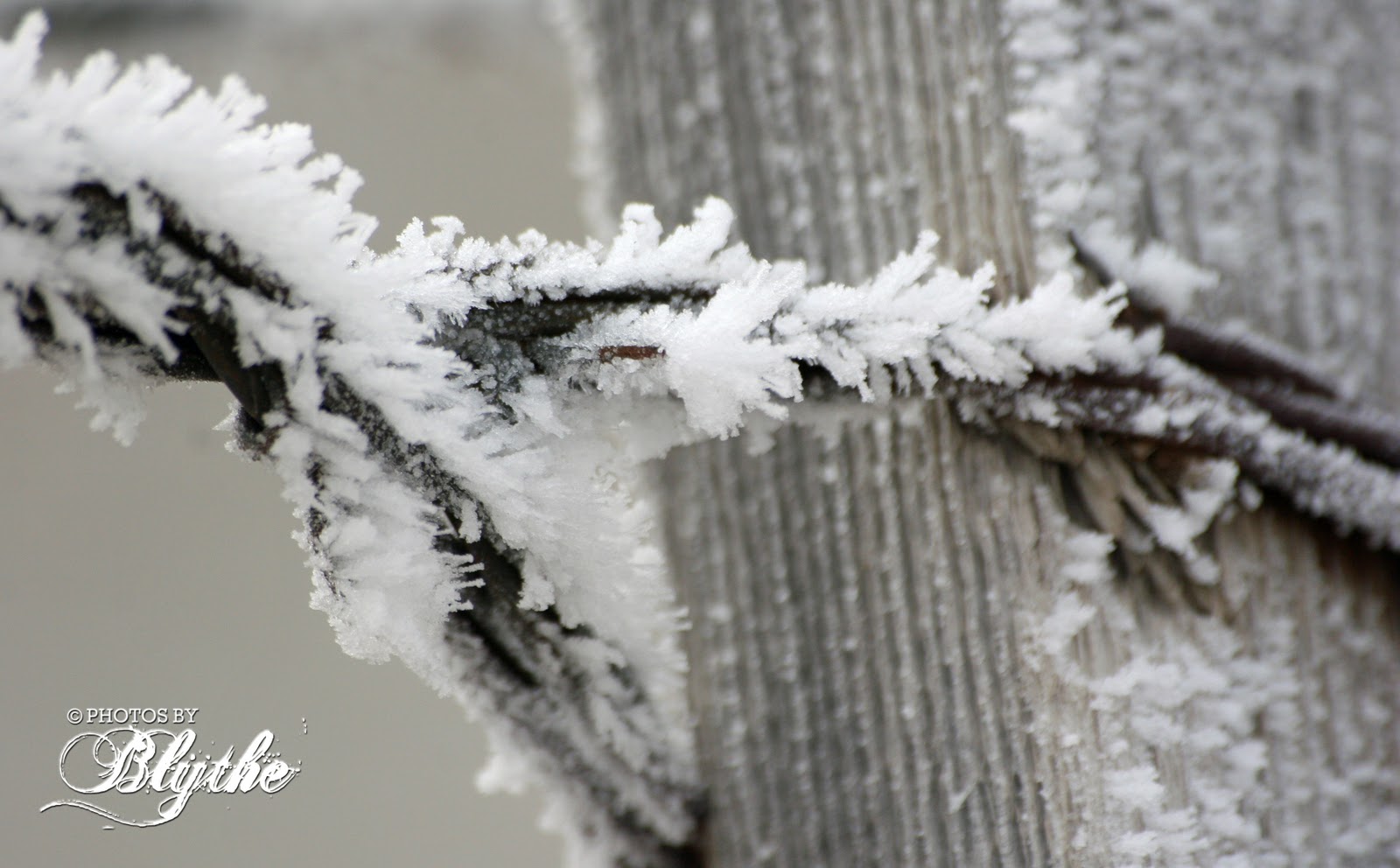 I took some pictures around campus yesterday, feel free to peruse ...