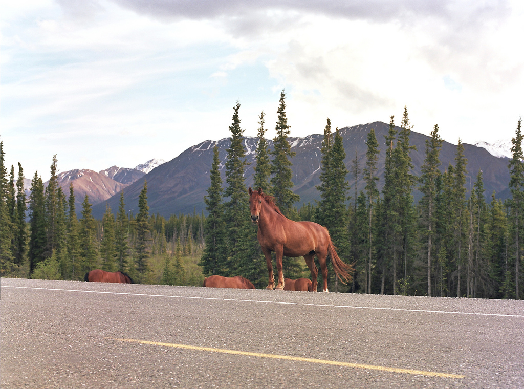 something-nothing: Nicholas Hance Mcelroy // Santa Fe, Nuevo Mexico