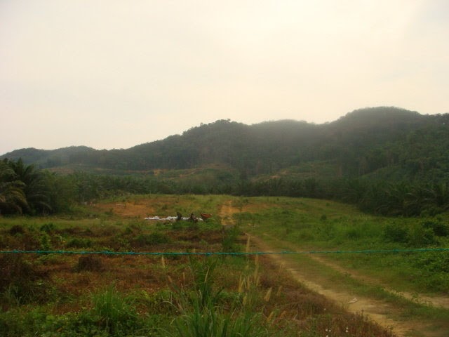 Elias Hj Idris: Jejak Sejarah Kerajaan Tua Beruas