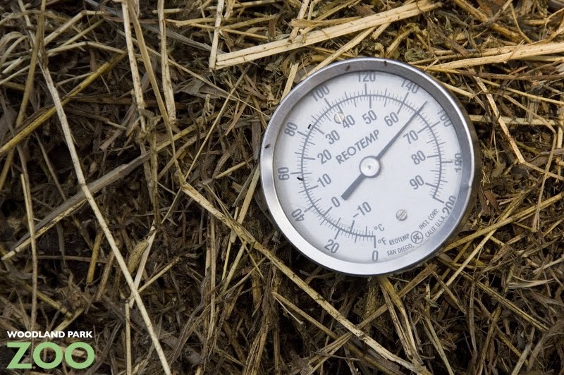 Christy Cheever's Instagram, Twitter & Facebook on IDCrawl