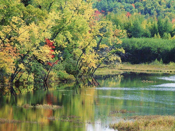 Fun Duniya: Amazing Examples for Nature Photography – Cool Photos for ...