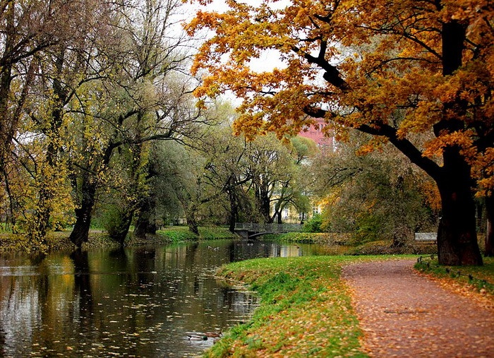 Fun Duniya: Amazing Examples for Nature Photography – Cool Photos for ...