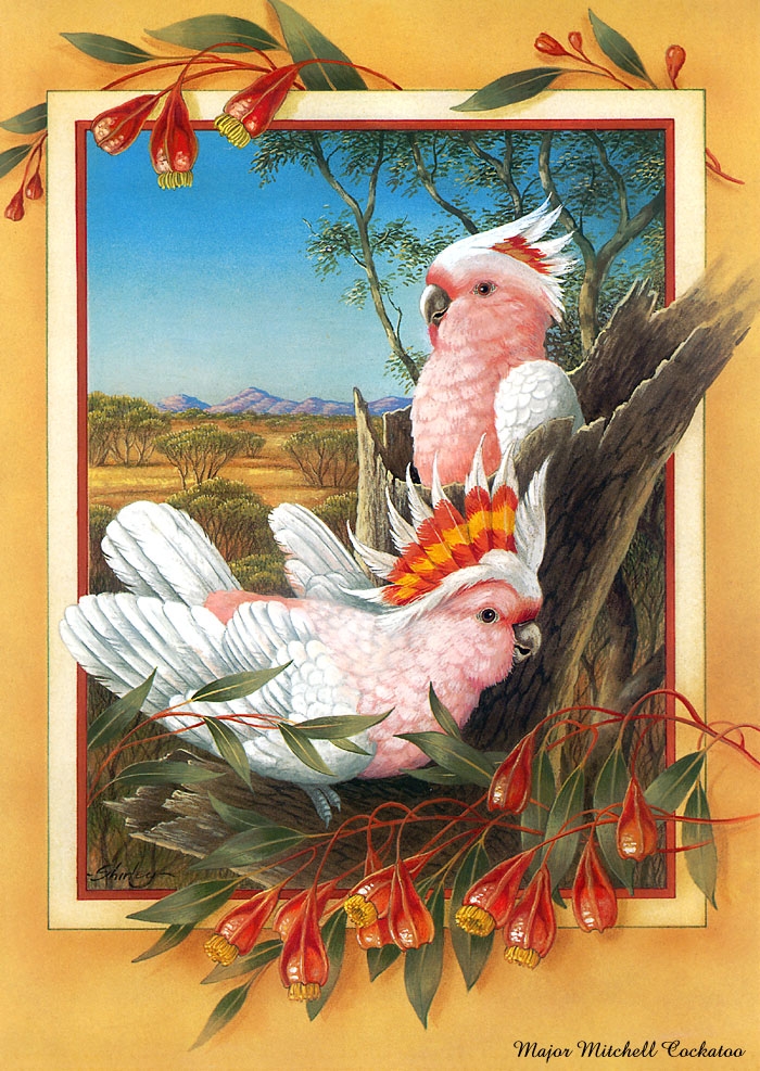 Fun Duniya: Amazing Bird Paintings for Your Eyes