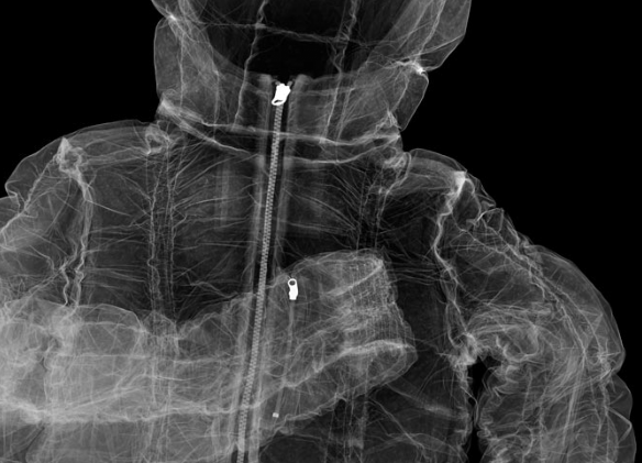 Ultimate Examples of X-Ray Photography by Nick Veasey | ~Spicx~