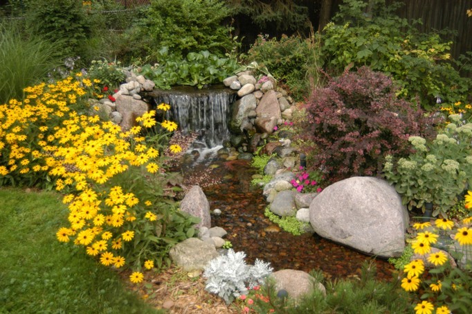 Fun Duniya: Garden Greenery Photography