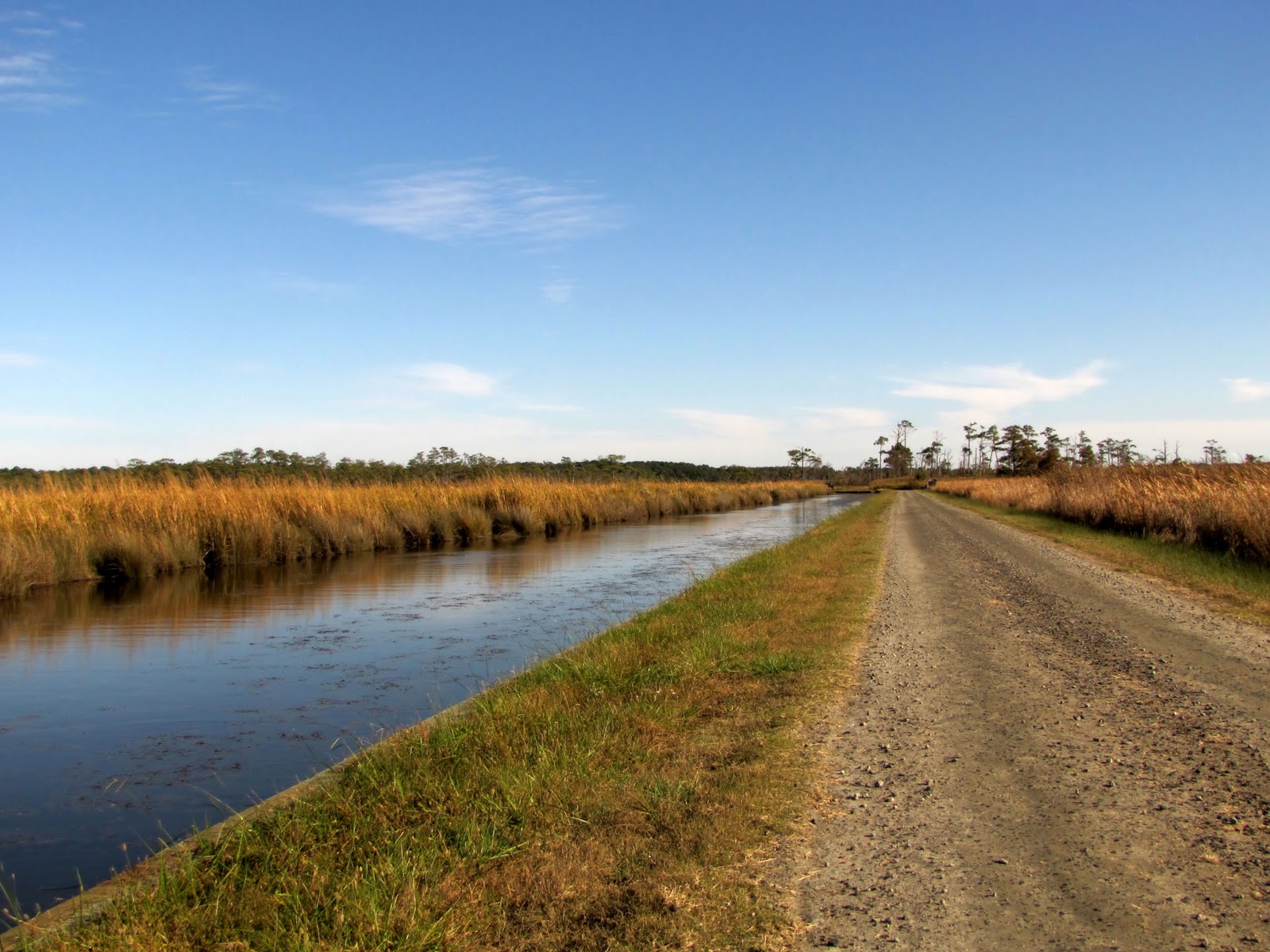Mackay Island National Wildlife Refuge at Velma Huffman blog