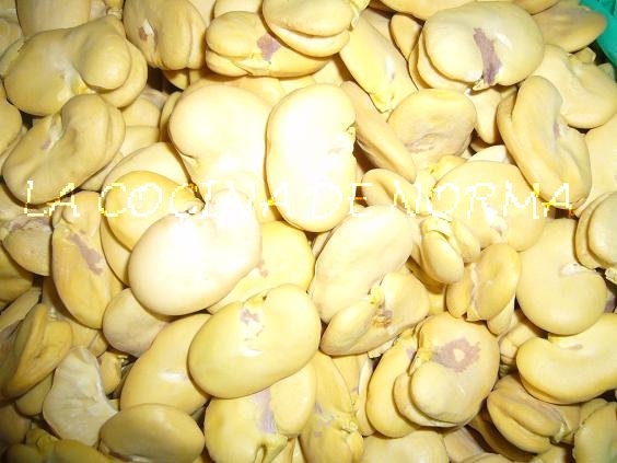 HABAS (SECAS - FRESCAS) - La Cocina de Norma