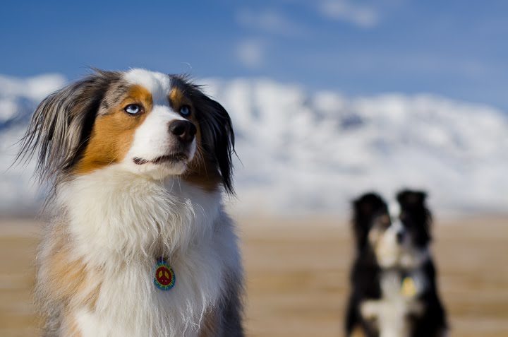 Scott and Angie's Blog: Alvord Desert Road Trip