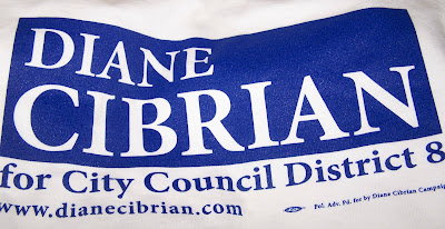 Walker Report - Shedding Light on Bexar County: Dominion hosts Diane ...