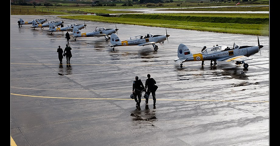 O FIEL AMIGO (M469 - 5PM/2011) ~ PÁSSARO DE FERRO