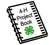 Surry County 4-H: 4-H Project Record Book Workshop