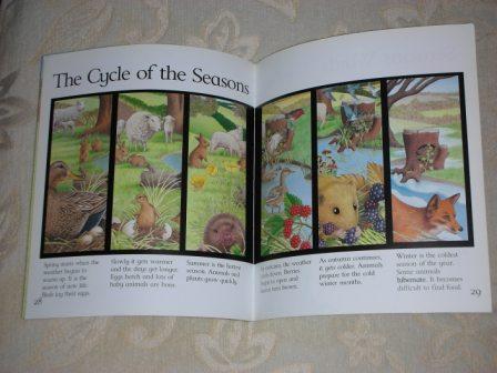 Share Books Review: Seasons (Cycles of Life)