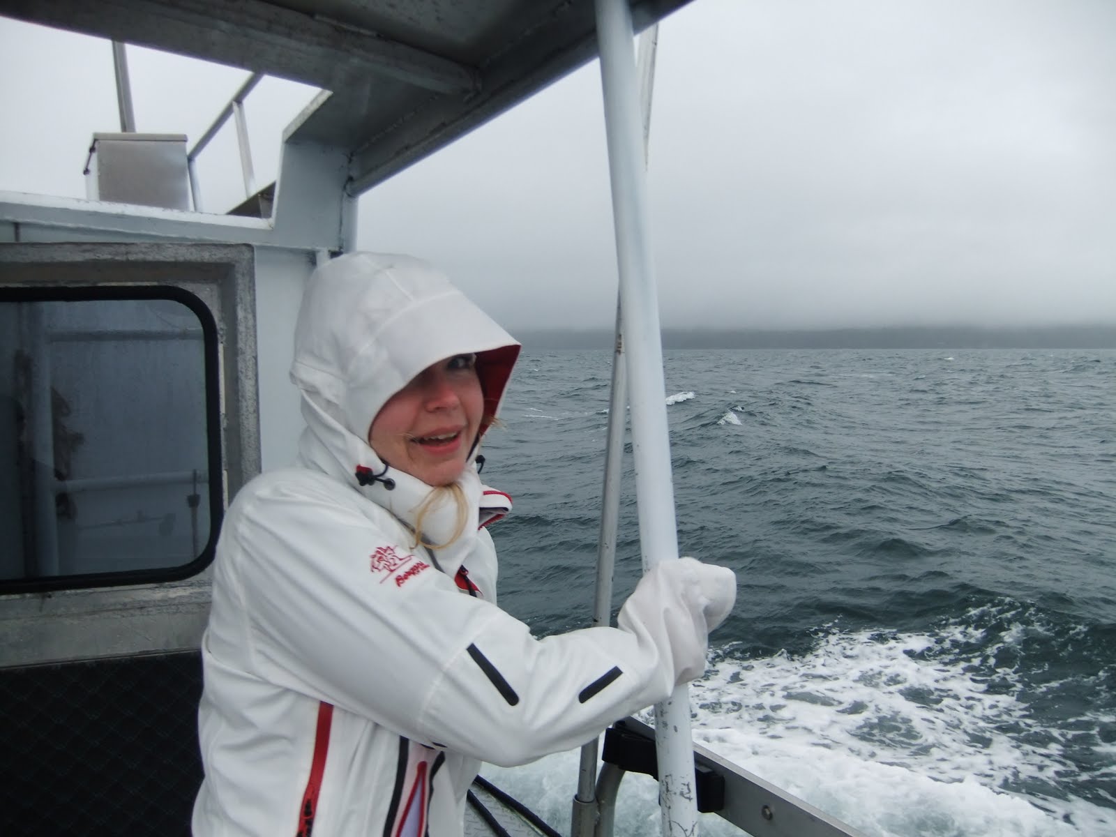 Blog for GSE trip 2010 to North America: Day 12 - Triangle Island ...