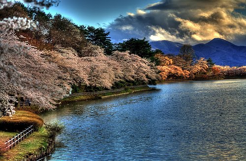 The Four Seasons Of Japan - In Spring Pictures-World Travel Guide ...