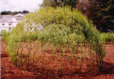 Ladakh Summer 2009 Design/Build Studio: Living willow structures...