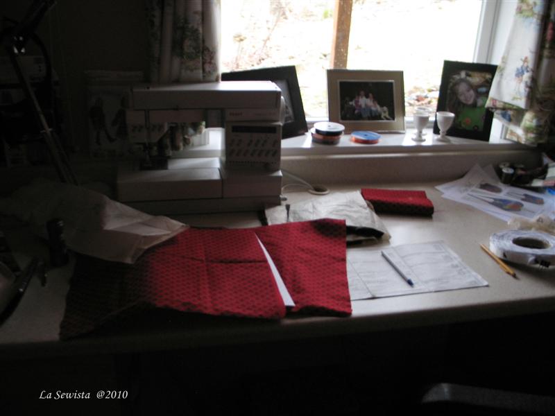 La Sewista!: Sewing In The Dark