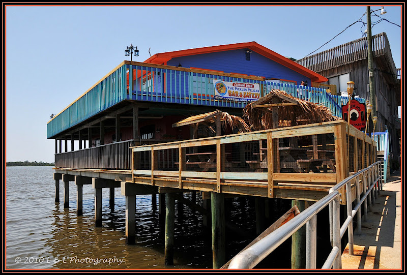 Cedar Key (Florida) Photos: 6/27/10 - 7/4/10