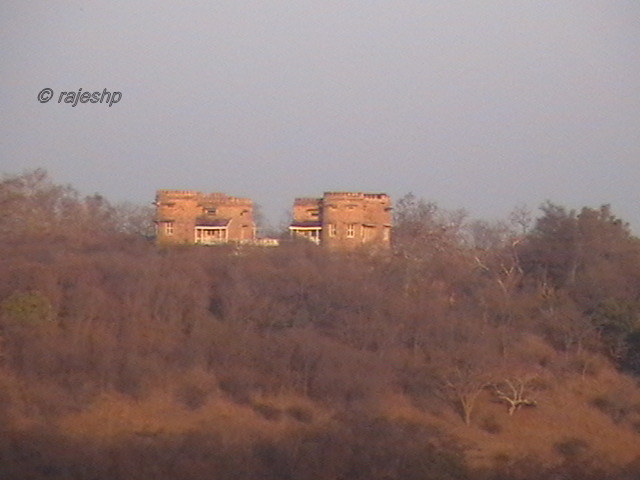 My India Travel: George Castle, Shivpuri