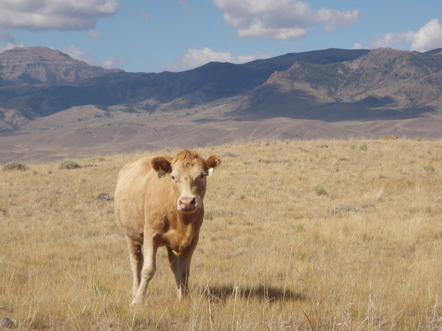 Fierce Asparagus: Days 9 & 10- Hiking & An Old Friend & Hanz Can Open ...