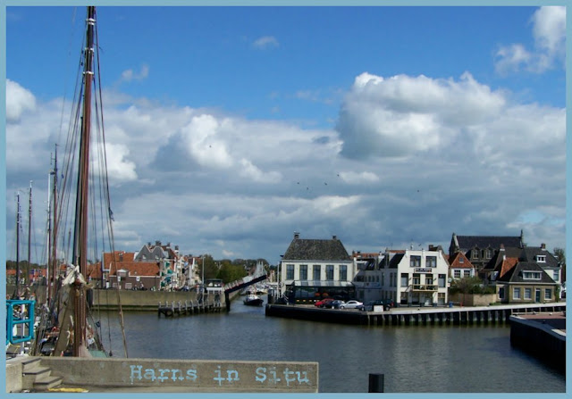 DE ELEMENTEN (SiTU Harns)