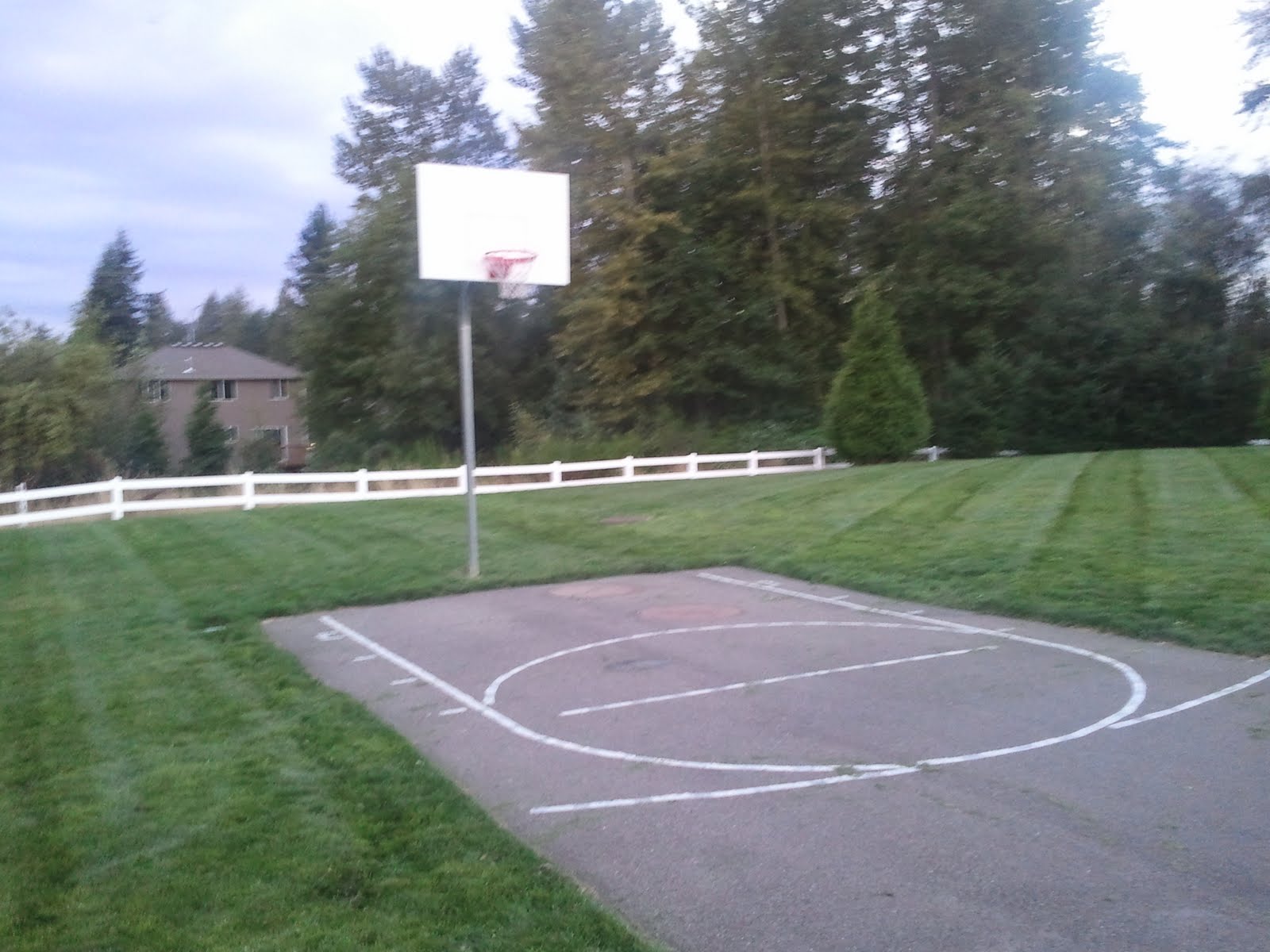 Bordeaux Association Community Site: Basketball Lines