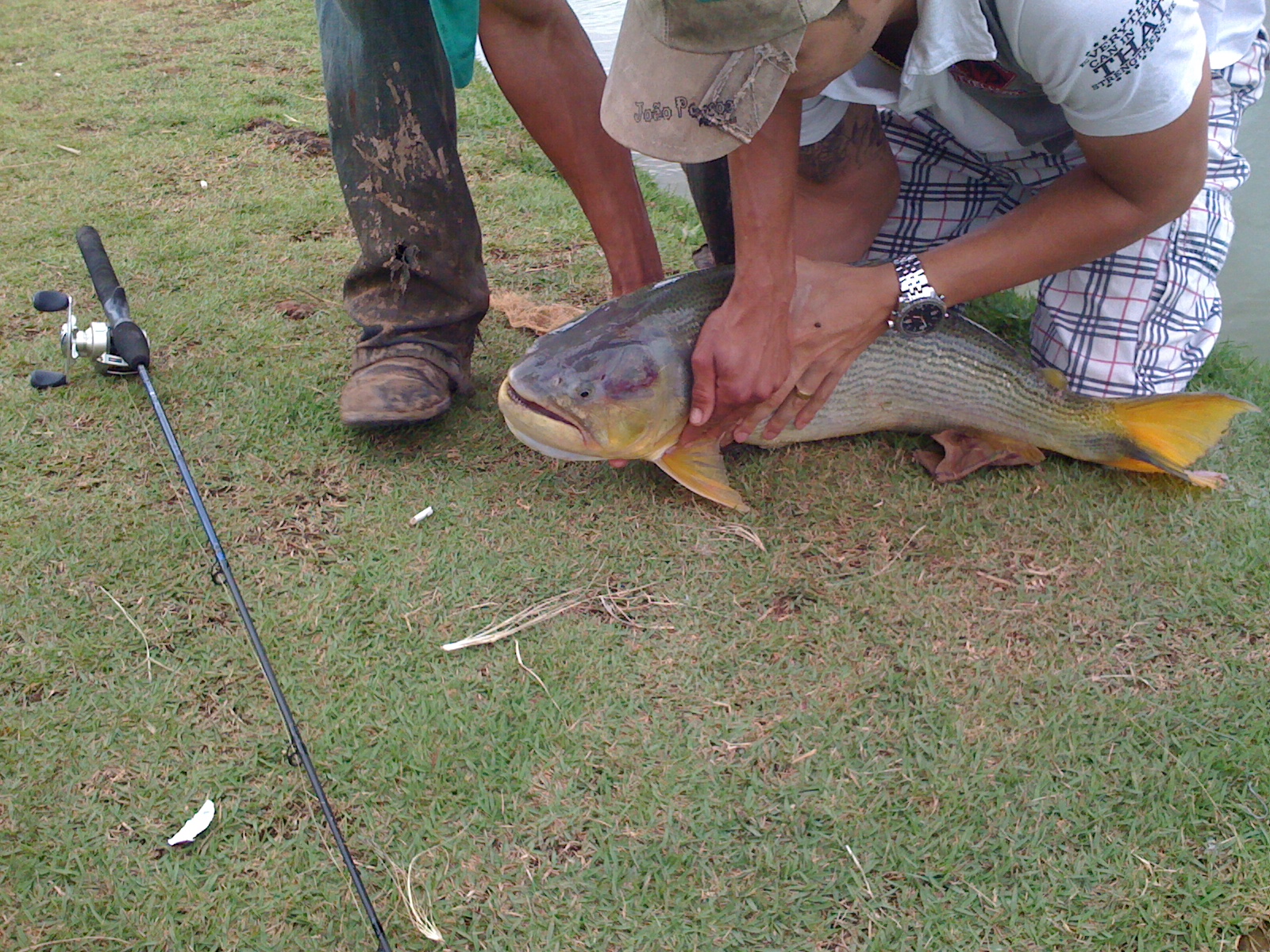 Fazollo's Fishing Team: Pescaria pesque-pague taguatinga