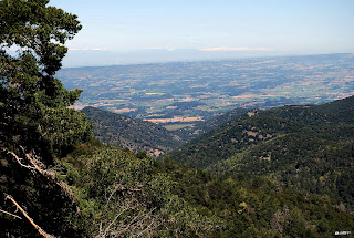 nosesapencara: Muntanyes de Prades | les Colònies.barranc del Titllar ...