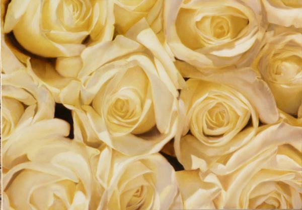 My Aesthetica: Things I love: Cream Roses
