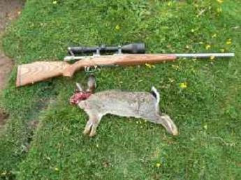 New Guns Gallery: Easter Bunny meets his demise