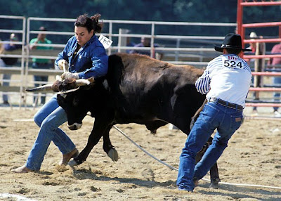 BETINHO DUARTE: RODEIOS : CRUELDADE OU DIVERSÃO