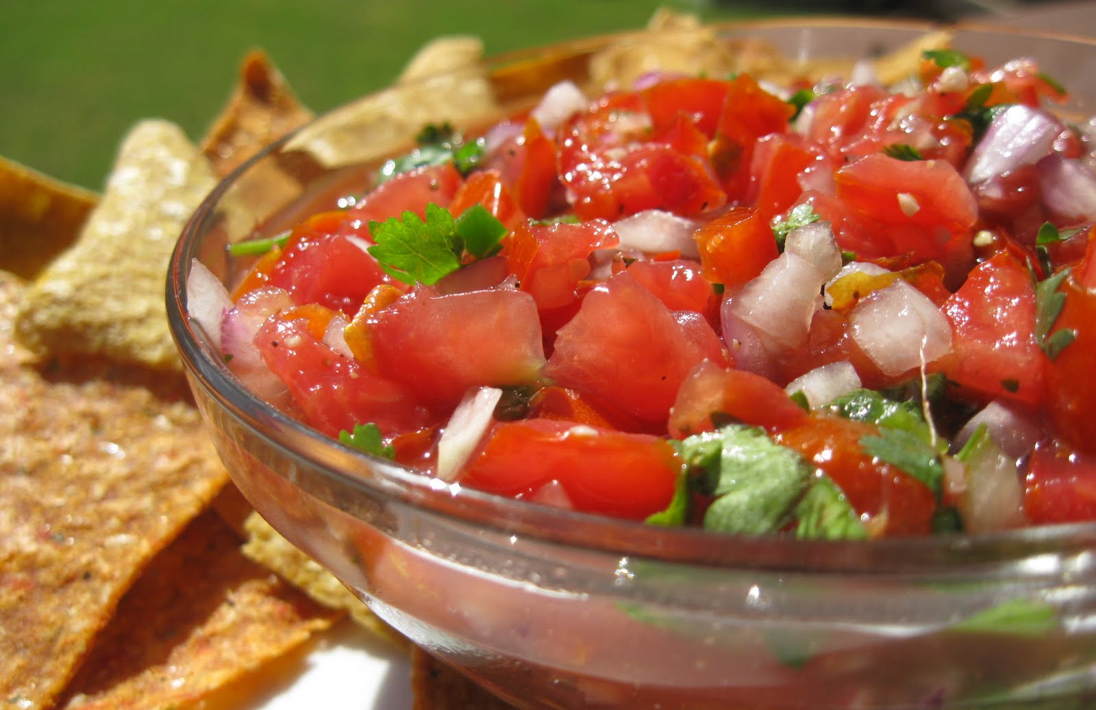 real food tulsa: Foodie Friday - Attack of the 5 Gallon Bucket of Tomatoes