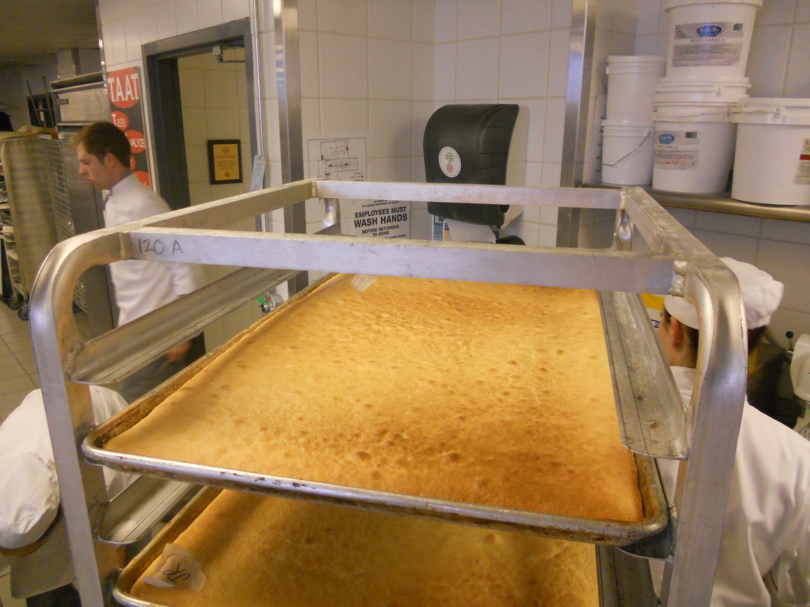 Spring 2011: Swiss Roll (Sponge Roll 2)