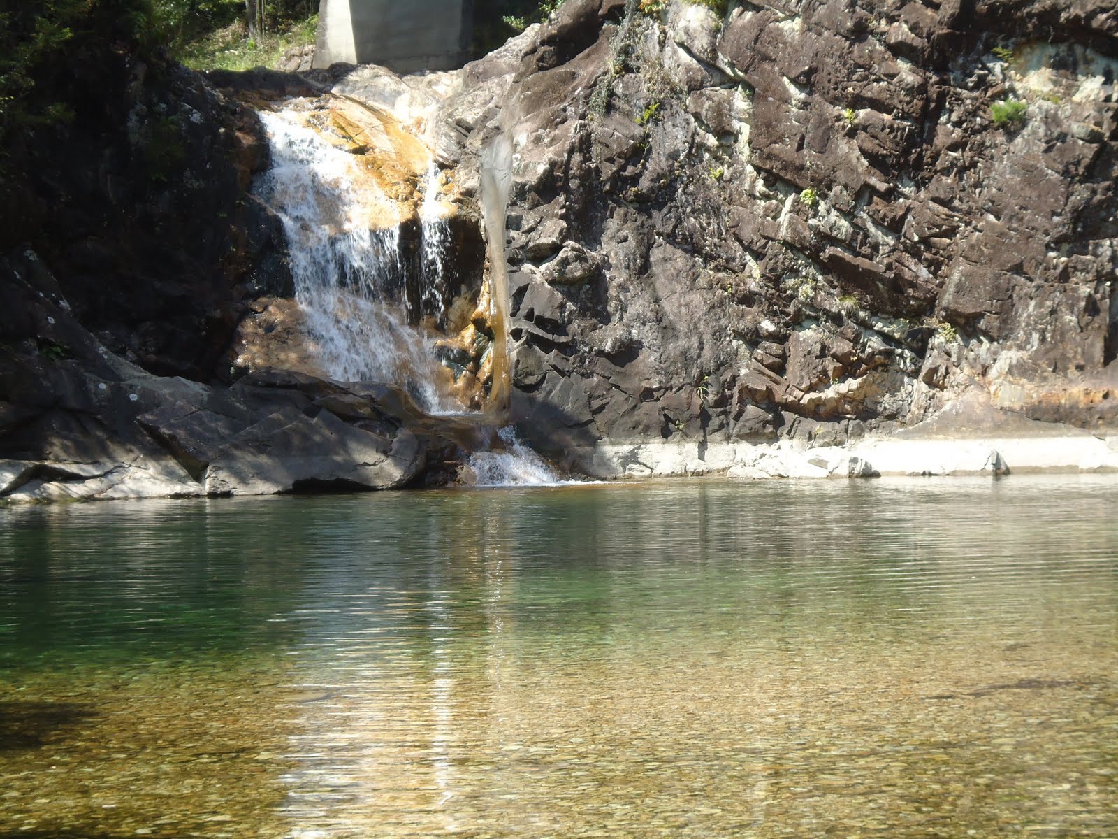 Amo conhecer o Japao: Moritopia Park kenmim no mori - Shinshiro-shi ...