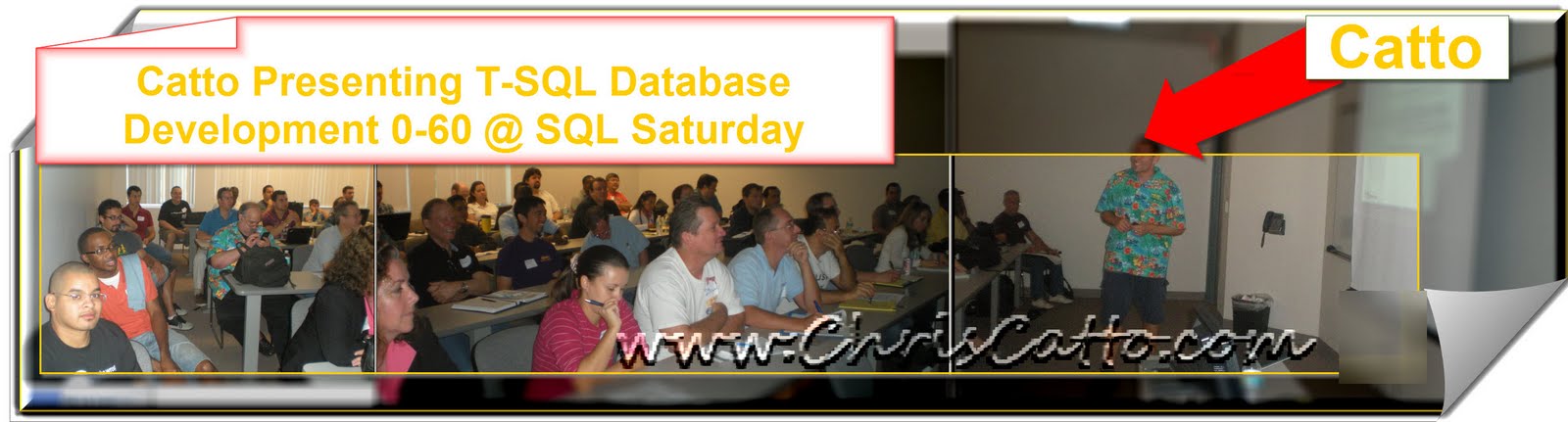 .NET Code Catto Blogger Blog